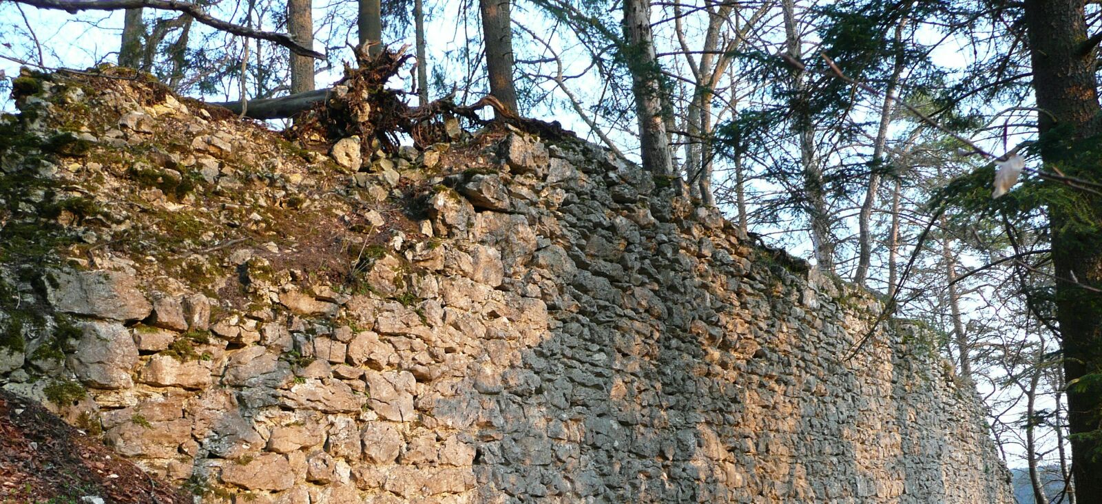 Stadt Fridingen: Geschichte