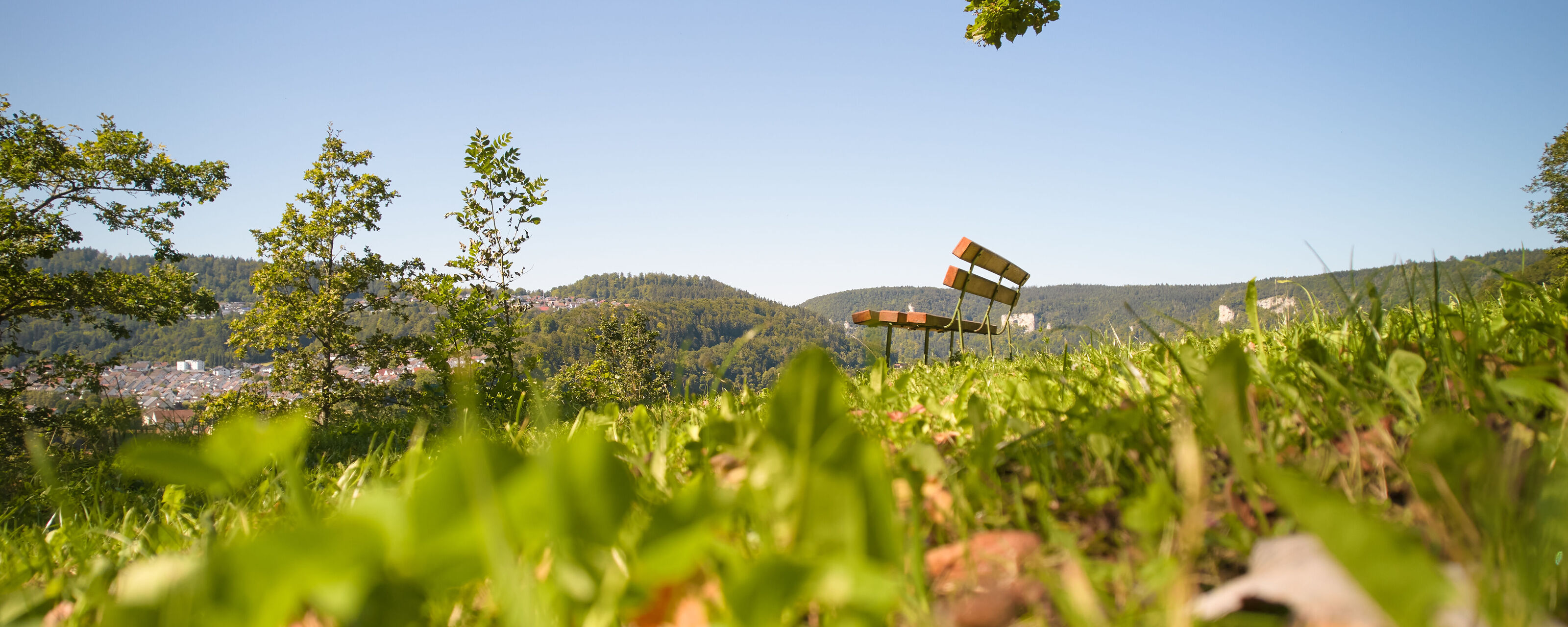 Stadt Fridingen: Impressum