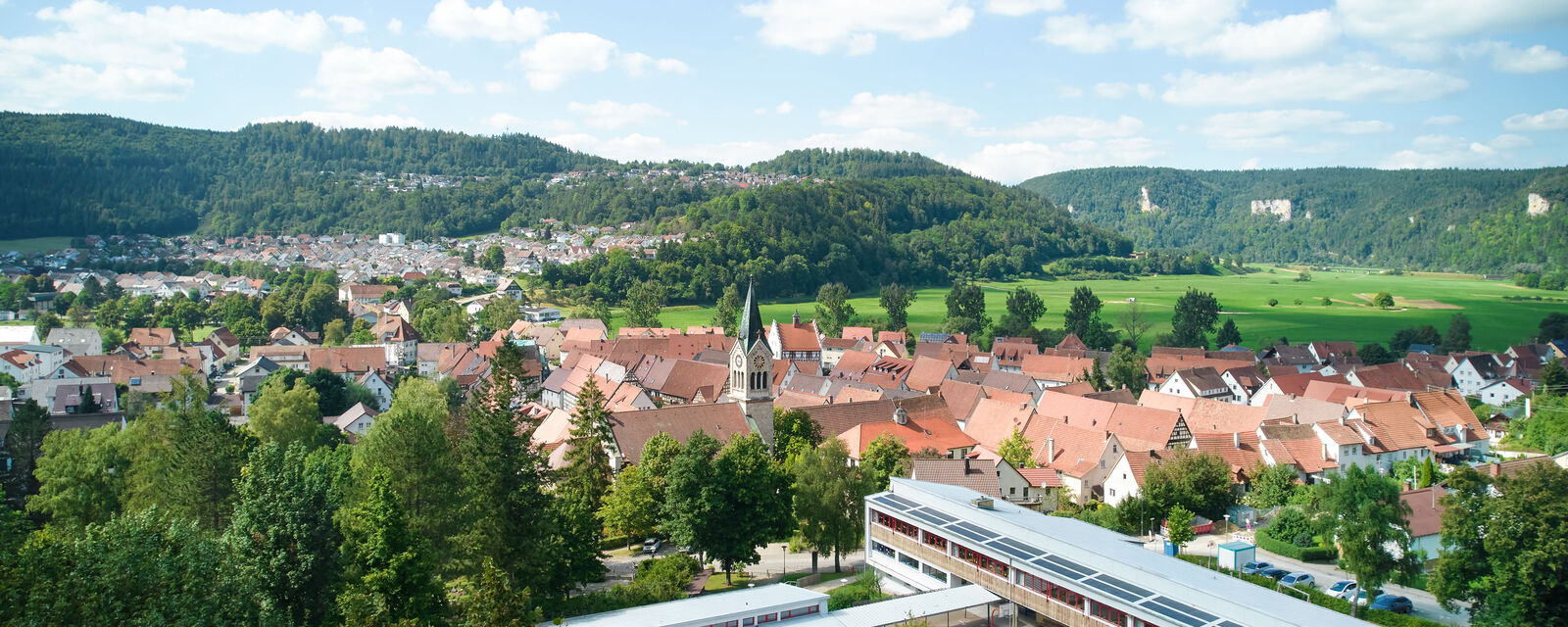 Stadt Fridingen: Vereine